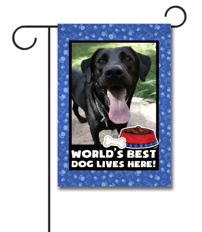 Buy: A Dog Can Change the Way You See the World – Garden Flag Flagology.com