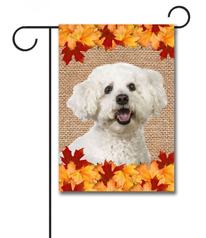 Bichon Frise | Flagology.com