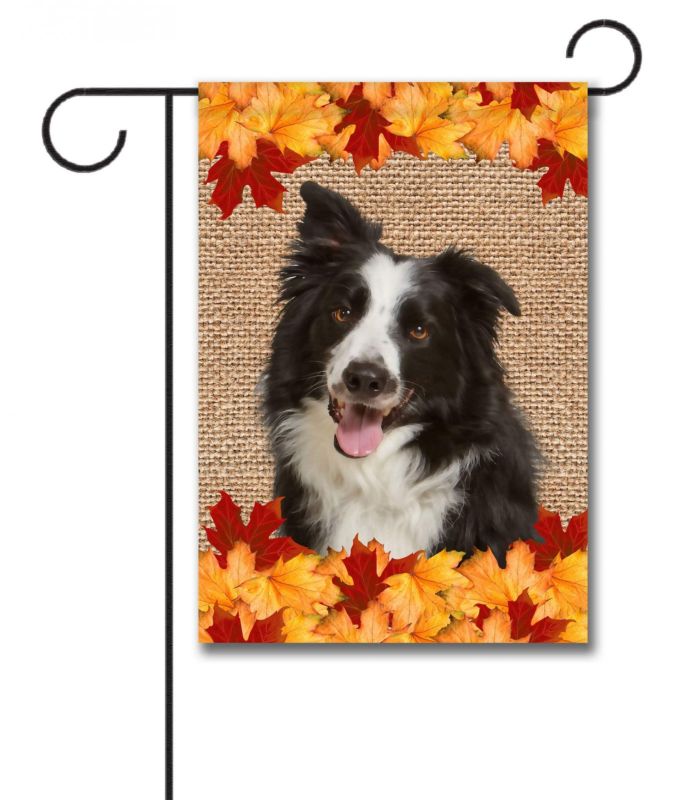 Buy: Fall Leaves Border Collie – Garden Flag Fall Flagology.com