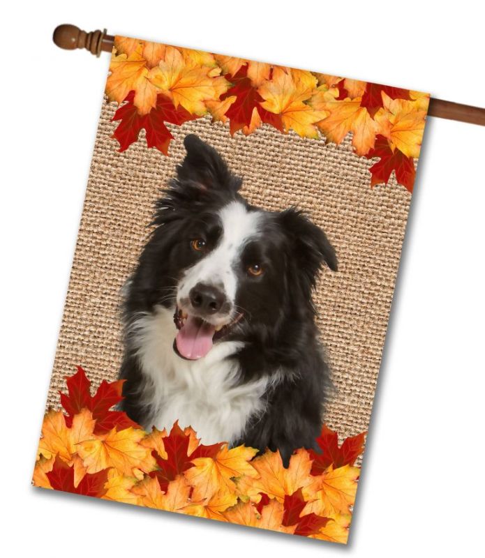 Border Collie | Flagology.com