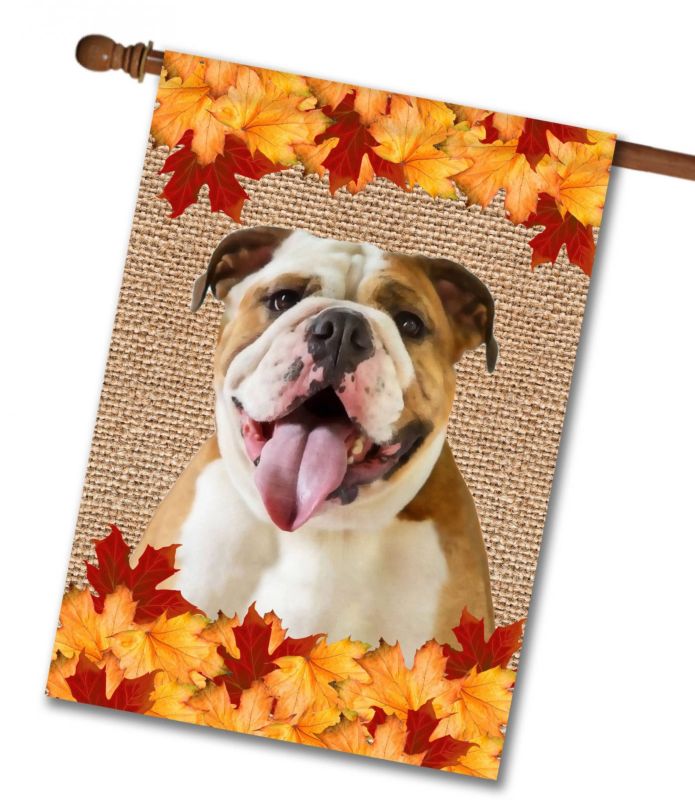 Bulldog Archives - Custom Printed Flags | Flagology.com