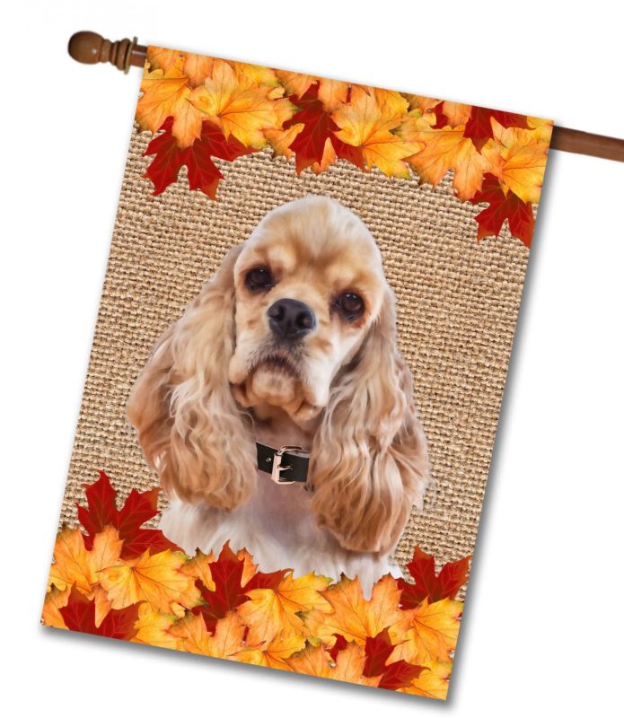 Cocker Spaniel Archives - Custom Printed Flags | Flagology.com