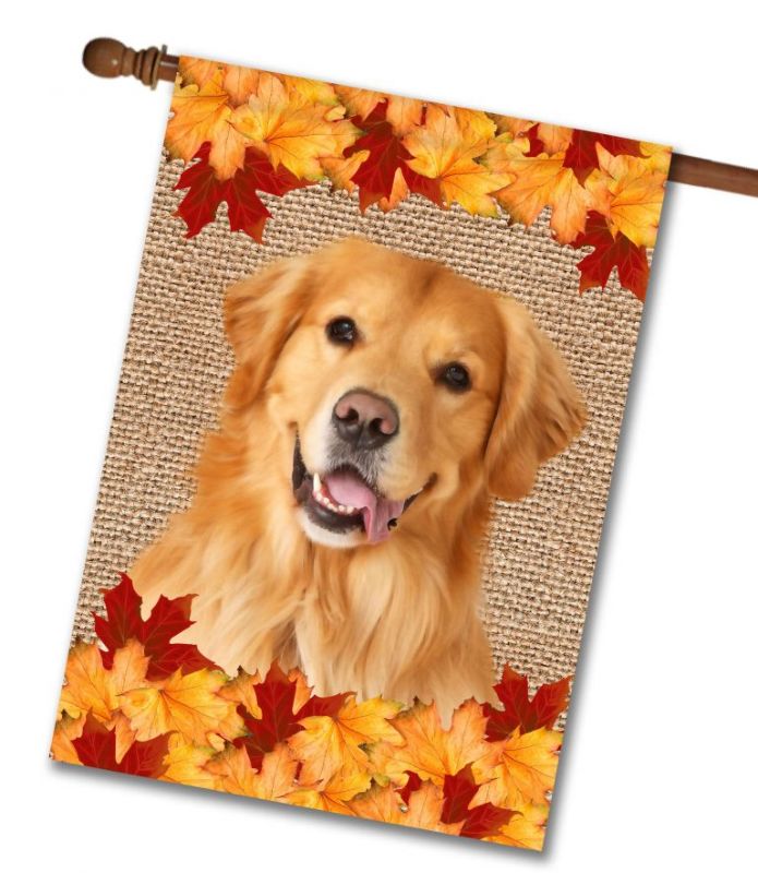 Buy: Fall Leaves Golden Retriever – Garden Flag Flagology.com