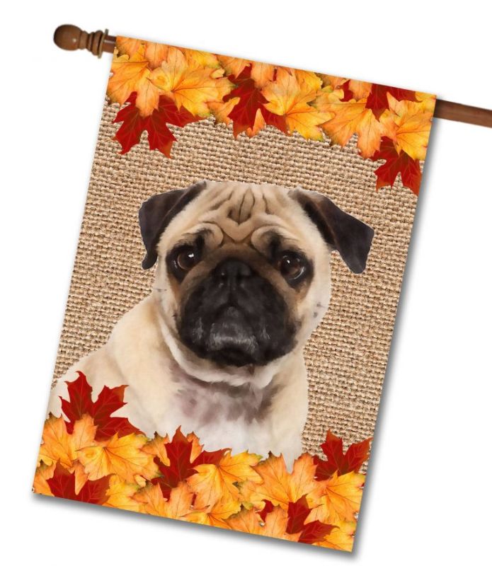 Pug Archives - Custom Printed Flags | Flagology.com