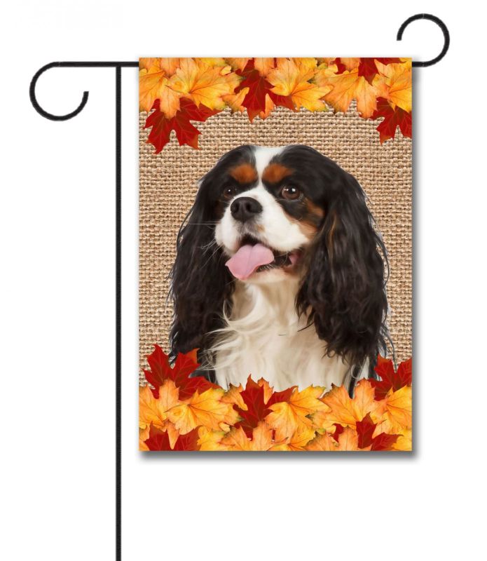 Cavalier King Charles Spaniel | Flagology.com