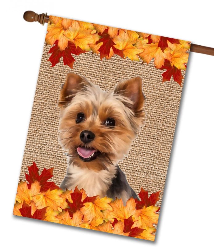 Buy: Fall Leaves Yorkie – House Flag Fall All Dog Flagology.com