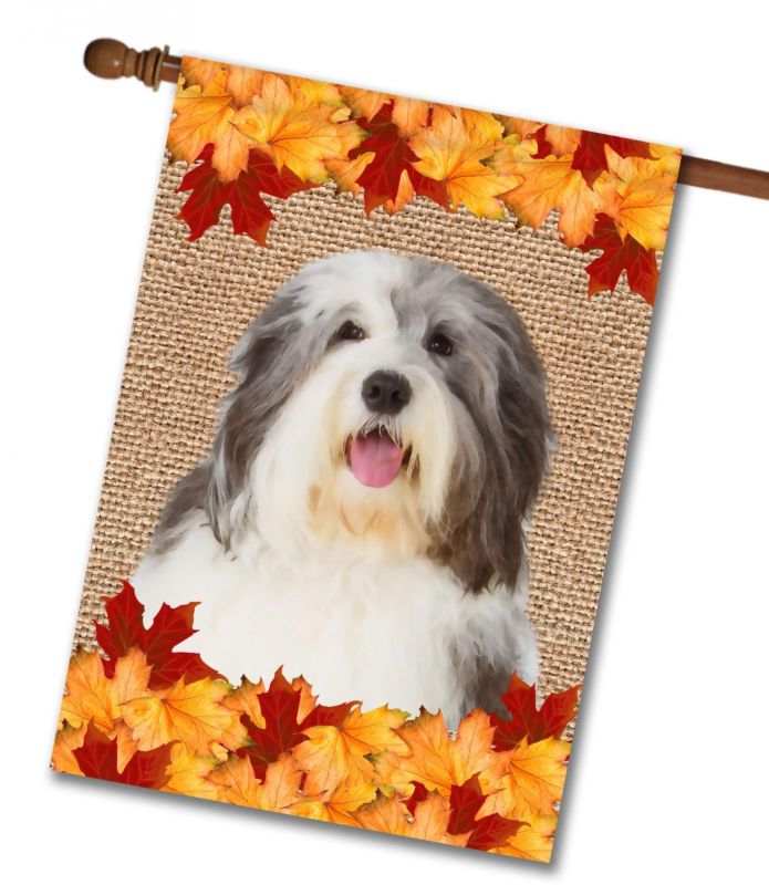 Old English Sheepdog Archives - Custom Printed Flags | Flagology.com