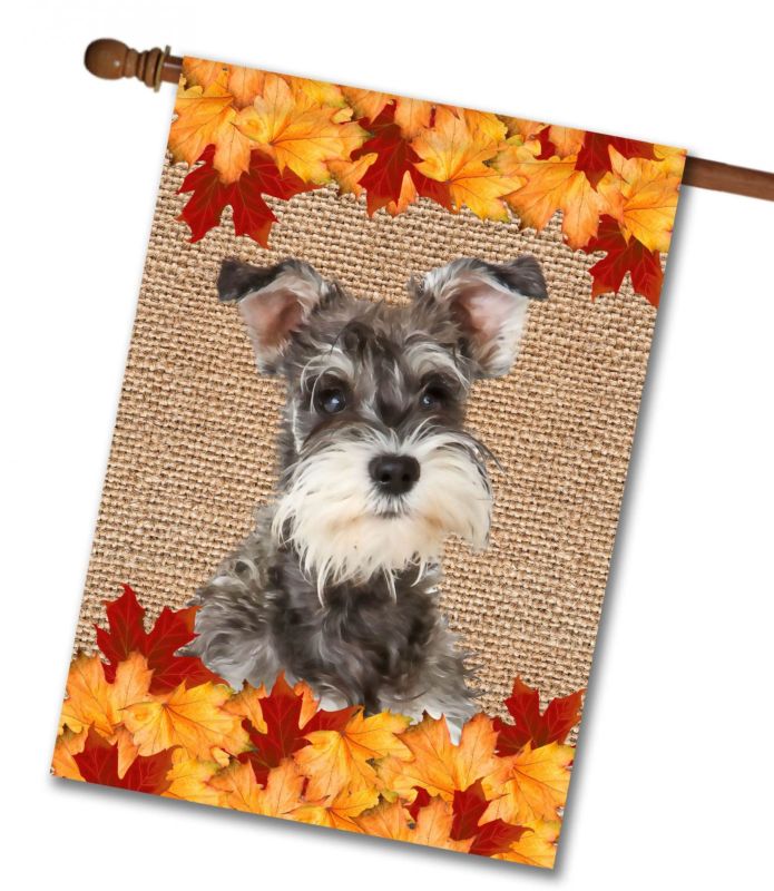 Buy: Fall Leaves Miniature Schnauzer – House Flag Flagology.com