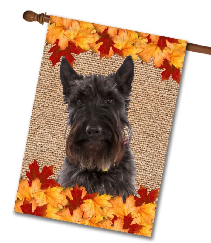 Buy: Fall Leaves Scottish Terrier – Garden Flag Flagology.com