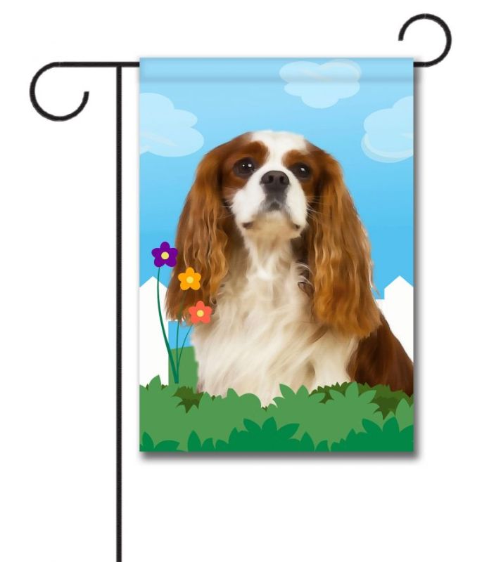 Cavalier King Charles Spaniel | Flagology.com