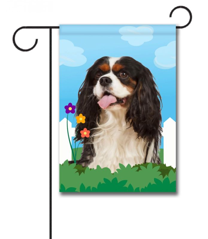 Cavalier King Charles Spaniel | Flagology.com
