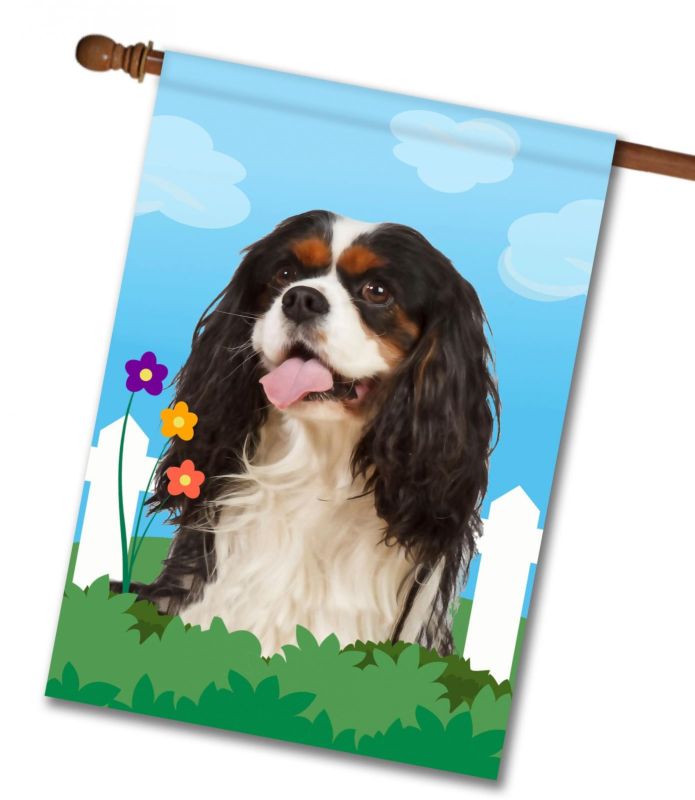 Buy: Spring Tri Colored Cavalier King Charles Spaniel – House Flag ...