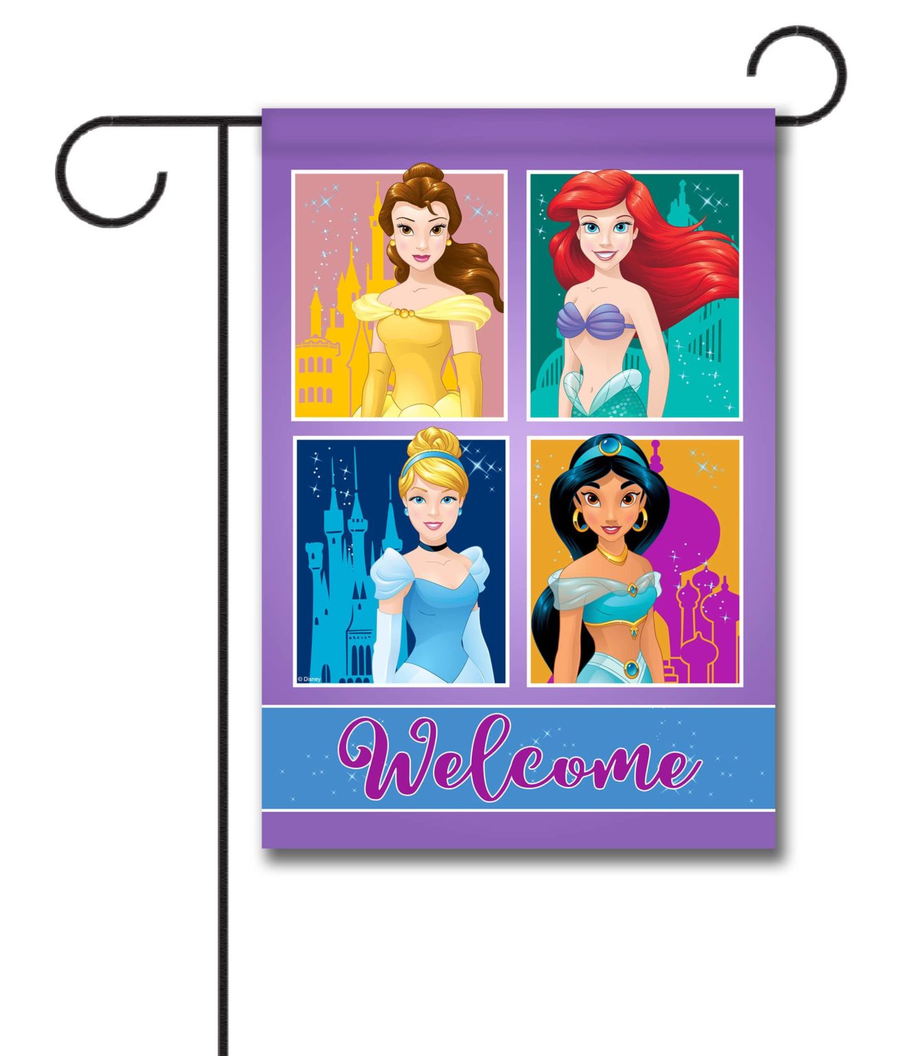 Disney Princesses | Flagology.com