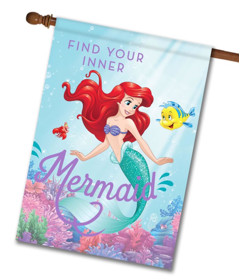 Disney Princesses | Flagology.com