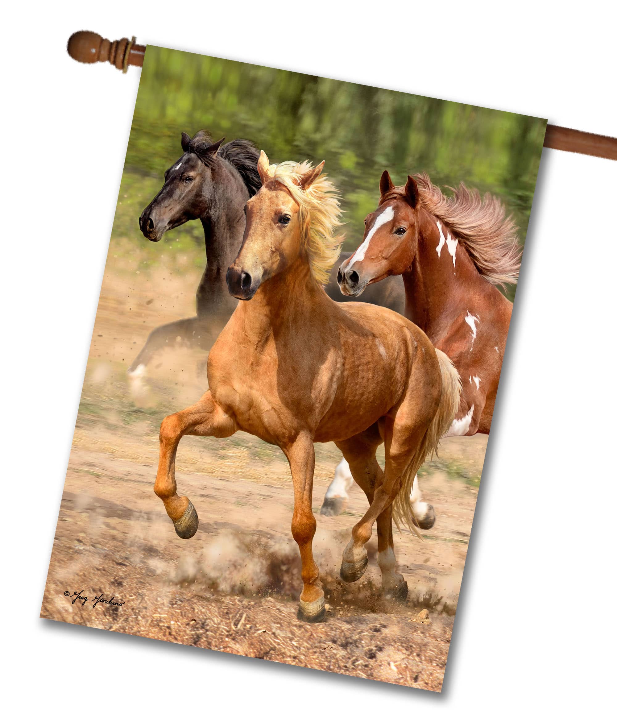 Buy: Galloping Horses – House Flag Art Farm Horse Flagology.com