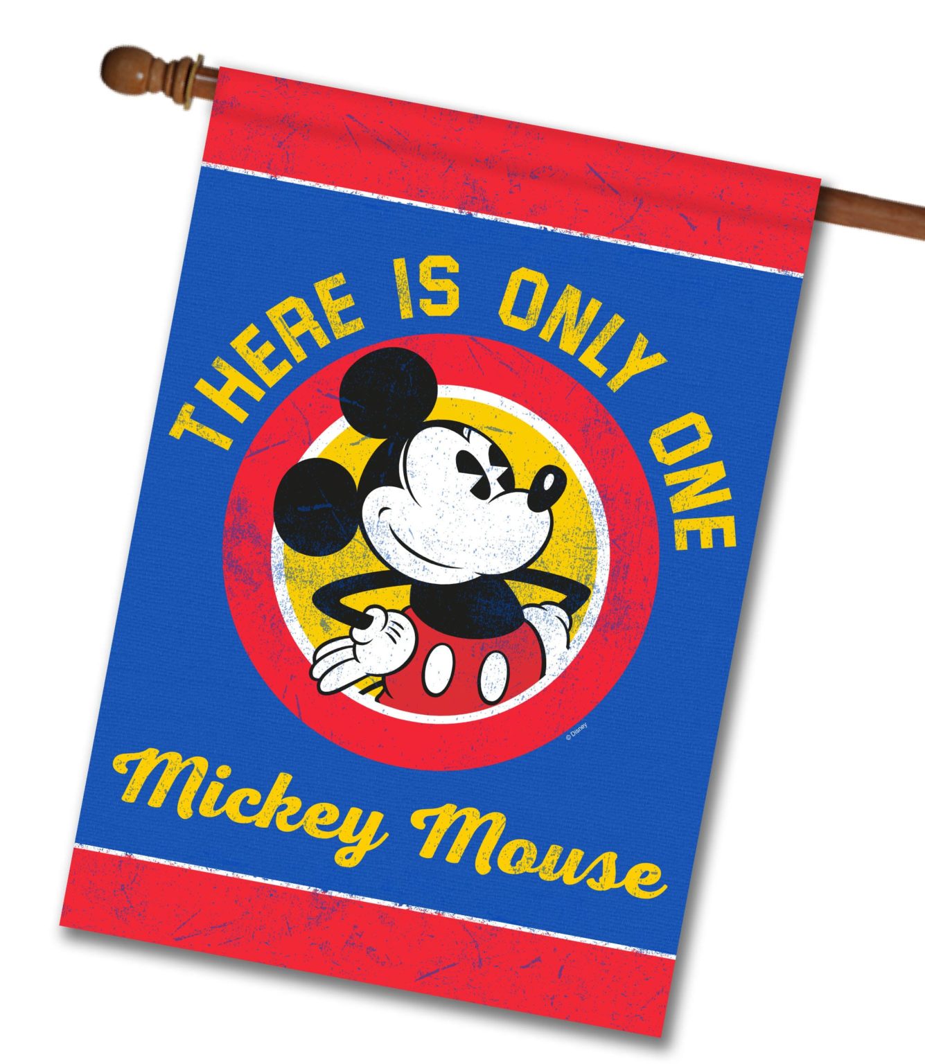 Buy: One and Only Mickey – House Flag Everyday Flagology.com
