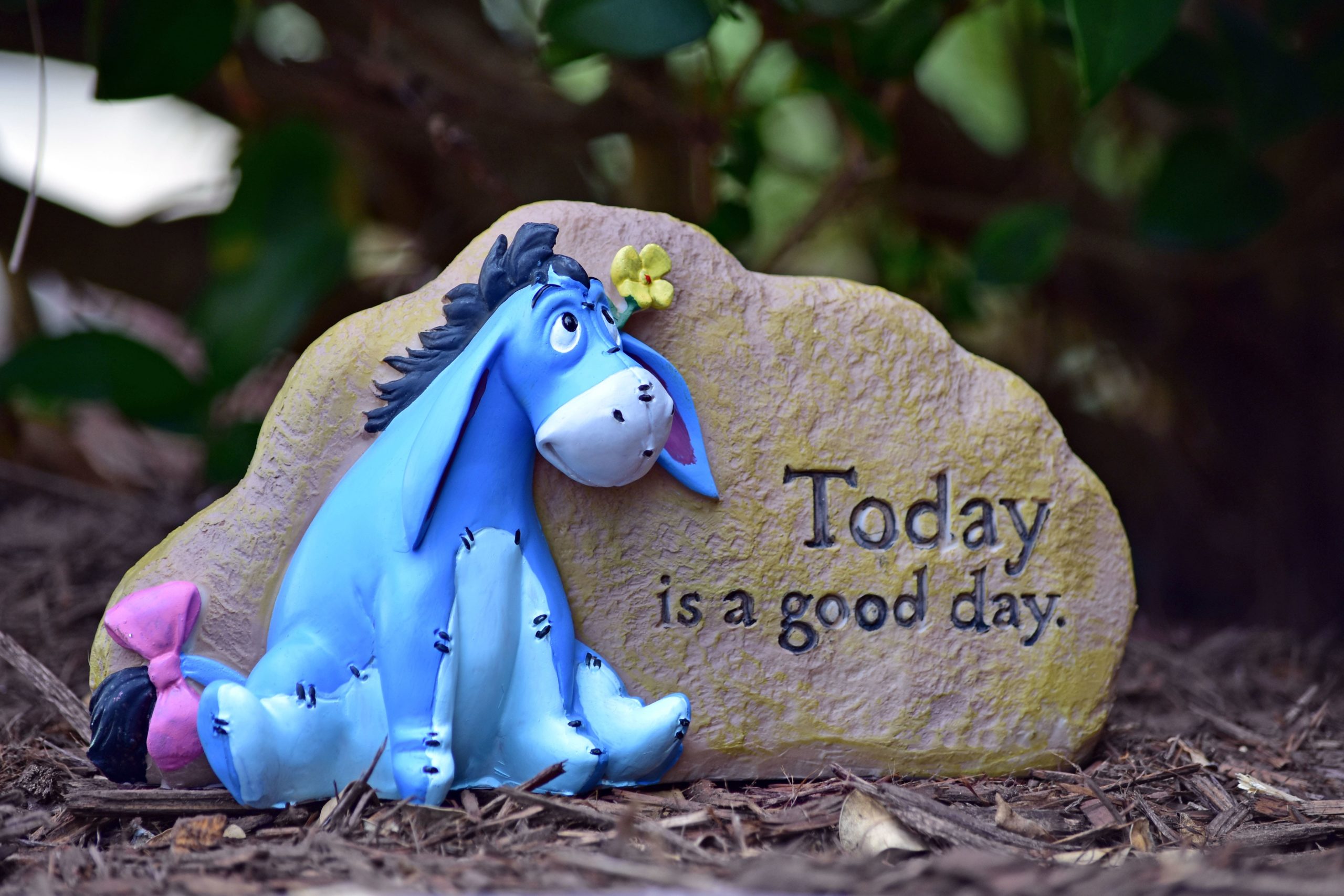 Buy: Today is a Good Day Eeyore Spring Summer Disney Flagology.com