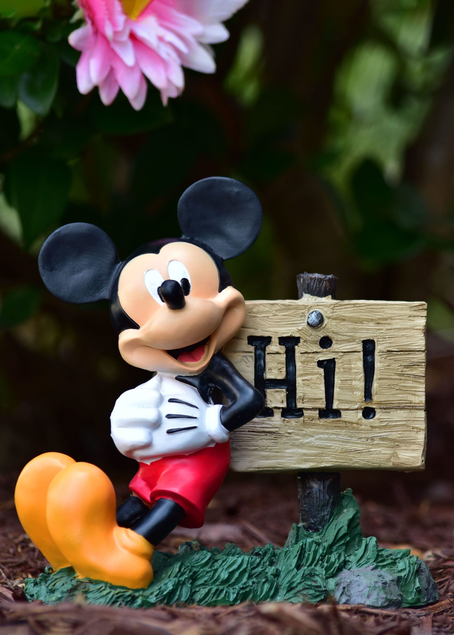 Buy: Mickey says “Hi” Spring Summer Disney Flagology.com