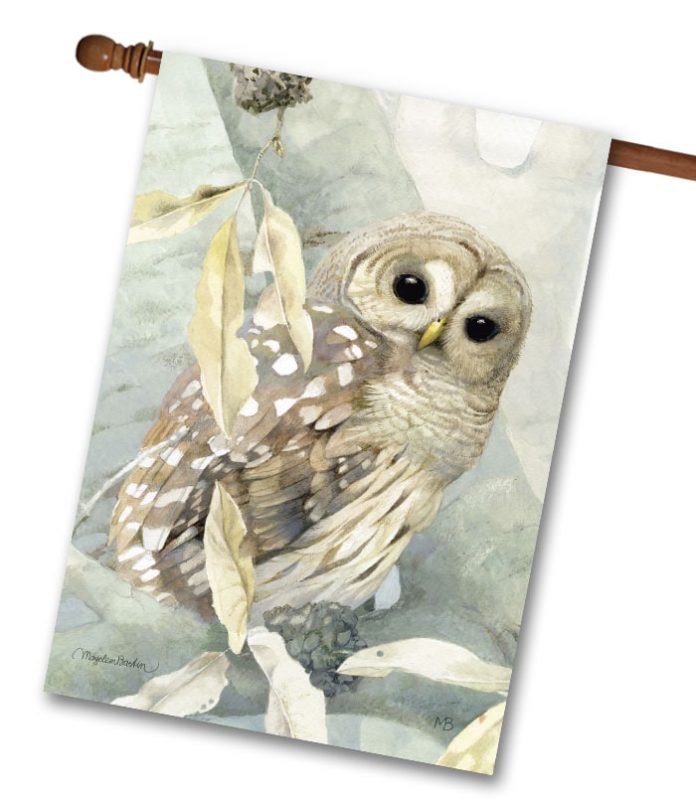Buy: Wild Owl – House Flag Fall Art Everyday Owl Flagology.com