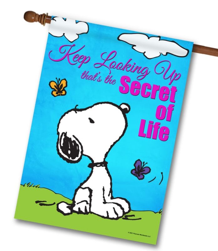 Buy: PEANUTS® Secret of Life – House Flag Spring Flagology.com