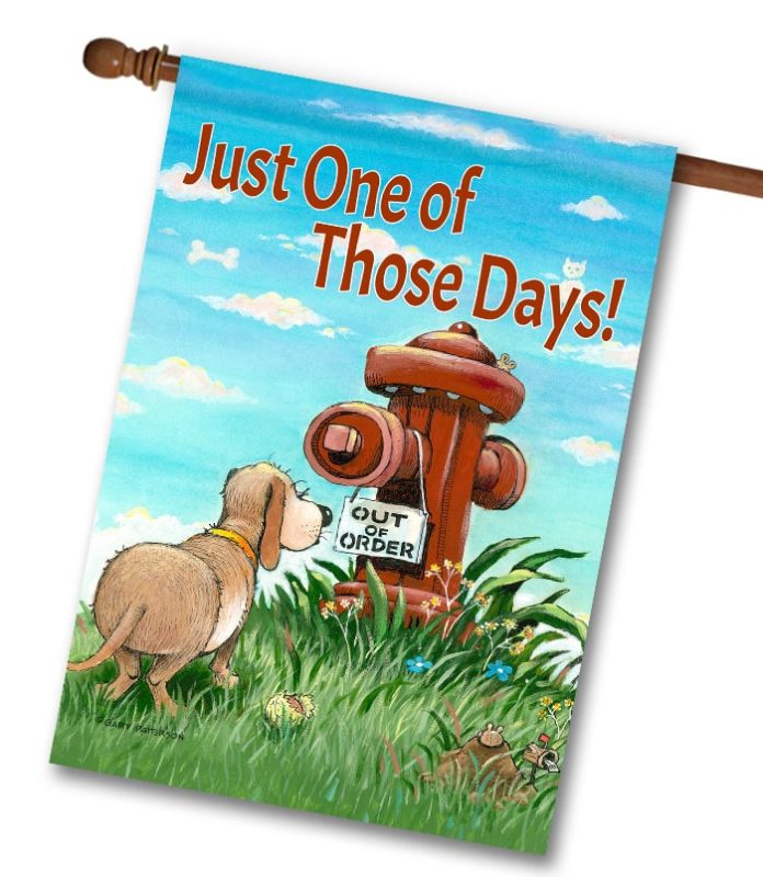 Buy: Out of Order Hydrant – House Flag Spring Art Flagology.com