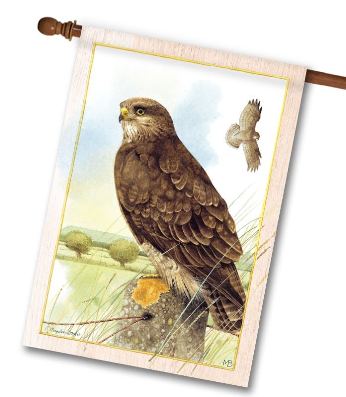 Buy: Broad-Winged Hawk – House Flag Spring Art Flagology.com
