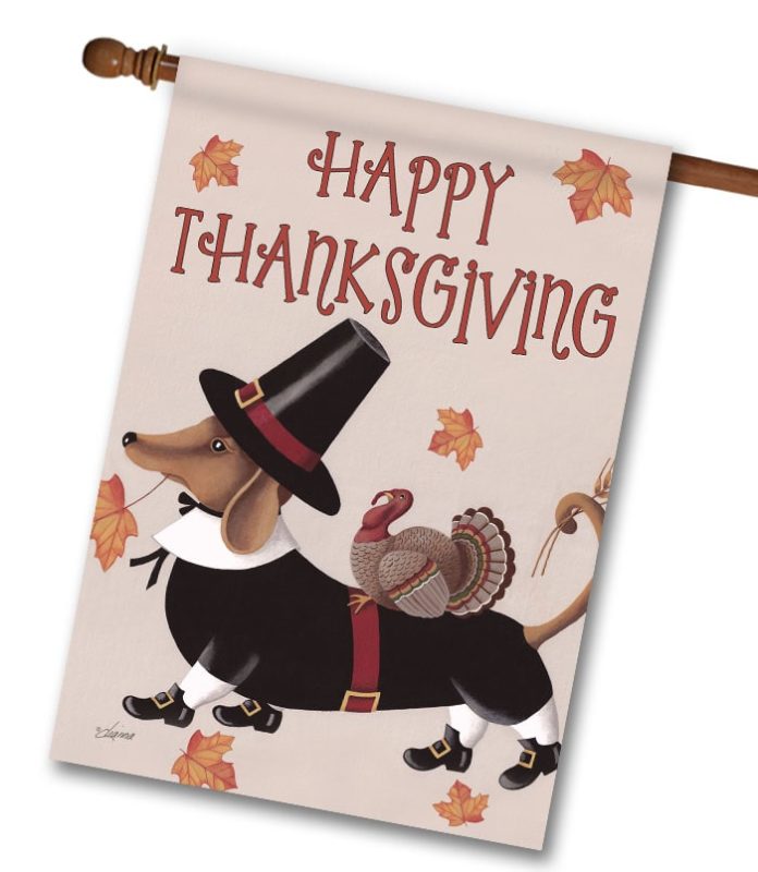 Buy: Thanksgiving Pilgrim Dachshund – Garden Flag Flagology.com