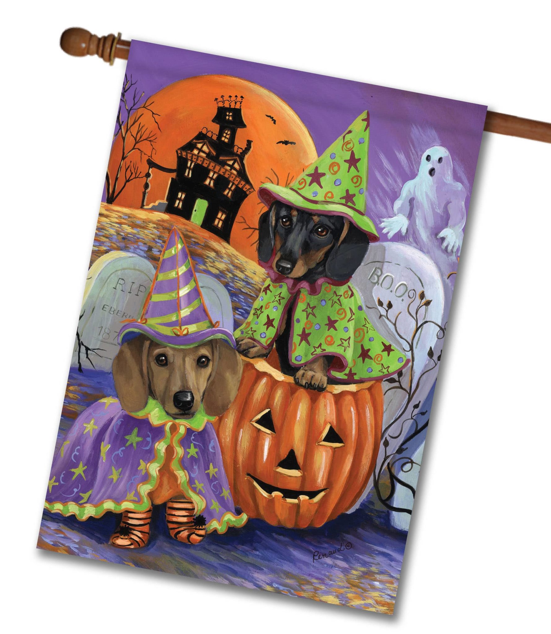 Buy: Dachshund Haunted House – Garden Flag Dog Flagology.com