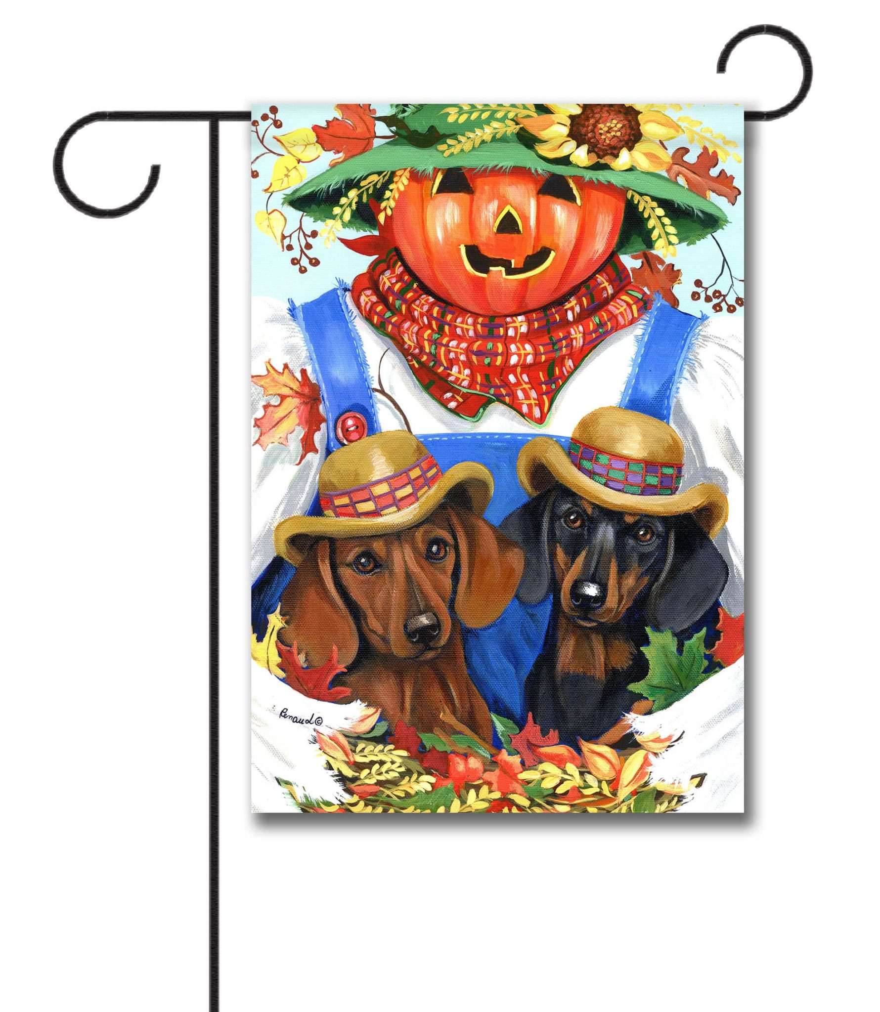 Buy: Dachshund Fall Scarecrow – Garden Flag Fall Flagology.com